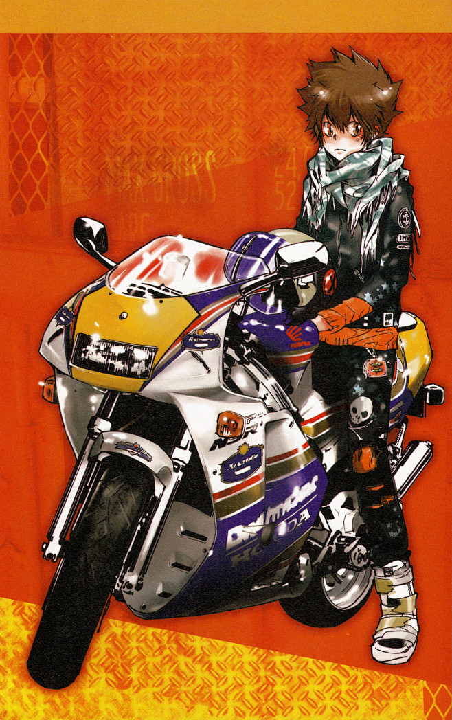 Katekyo Hitman Reborn! Official Visual Book - REBORN Colore ...