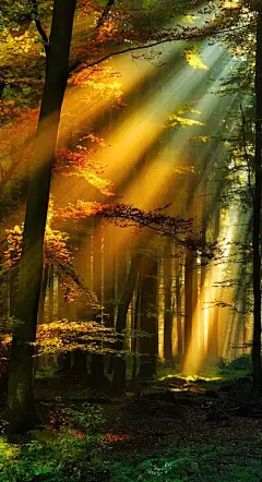 dgfgfg图片大全-dgfgfg高清好看的图片--花瓣环境地方的画板