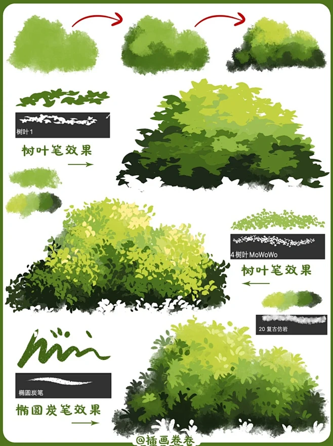 零基础学插画｜不同的三种草丛画法篇Day96_1_插画卷卷_来自小红书网页版-花瓣网