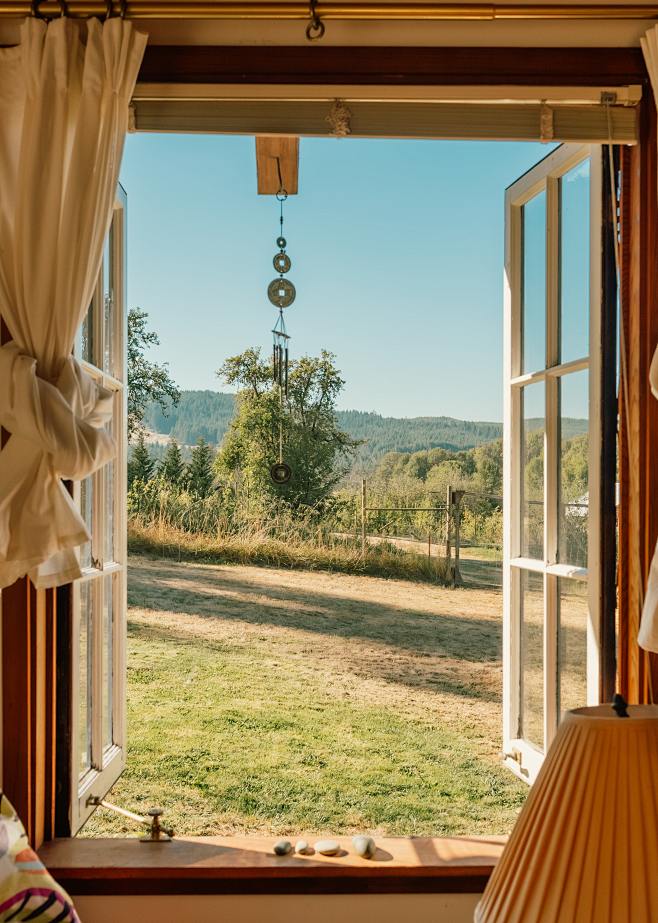 pexels-josh-hild-14269091