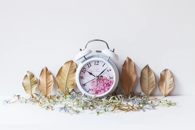 Flow / 500px-花瓣网