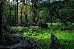 Photograph Untitled by JACK RABBIT on 500px-花瓣网