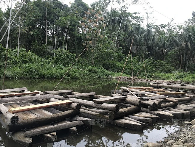 秘鲁马努国家公园的景观，自然户外的雨林背景，木船，树木，植物，树叶。绿色自然野生热带景观素材-花瓣网