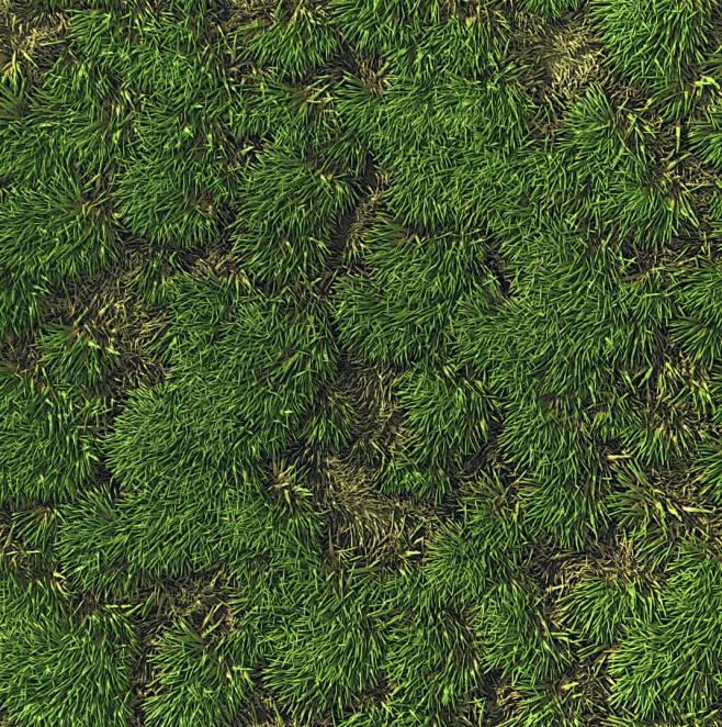 Procedural Grass-花瓣网