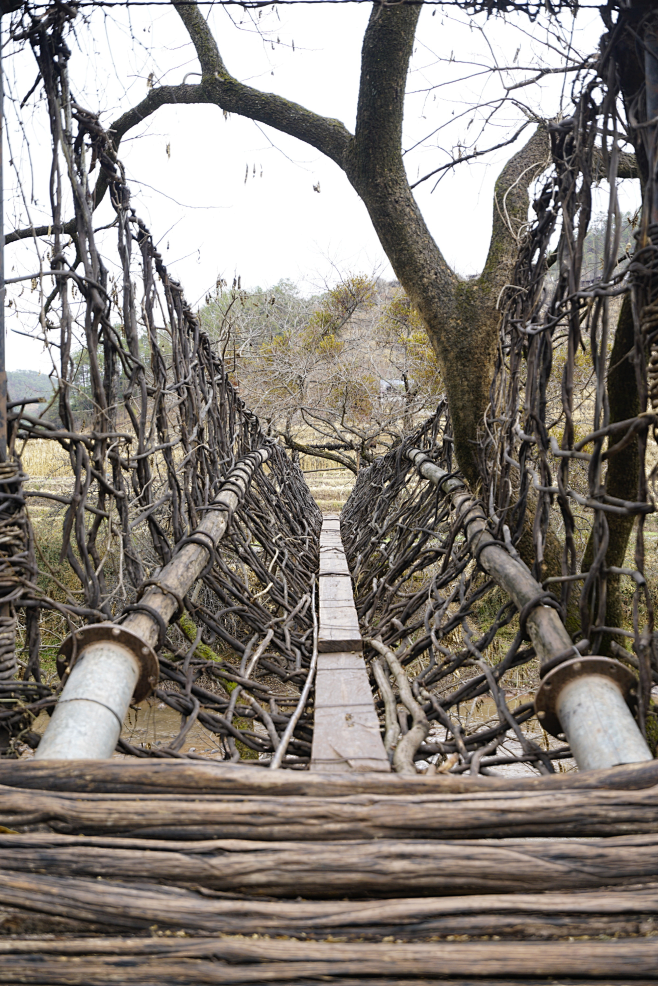 de90577b-172d-430c-8c54-a266ad6b59e5