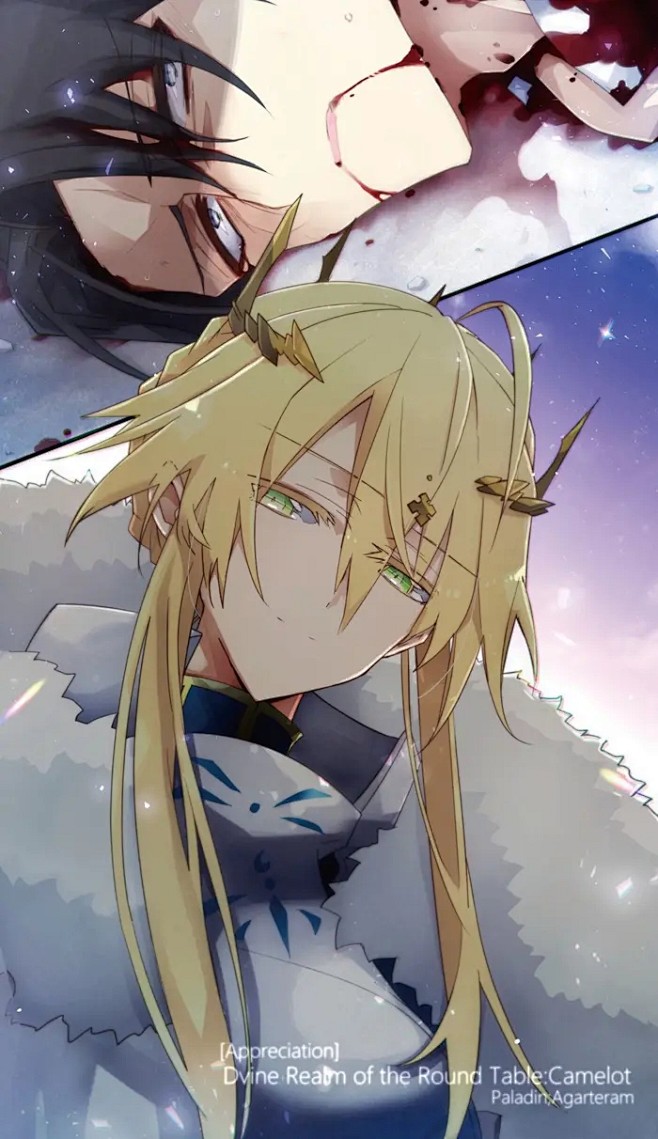 fate fgo 吾王 白枪呆 狮子王 圆桌骑士