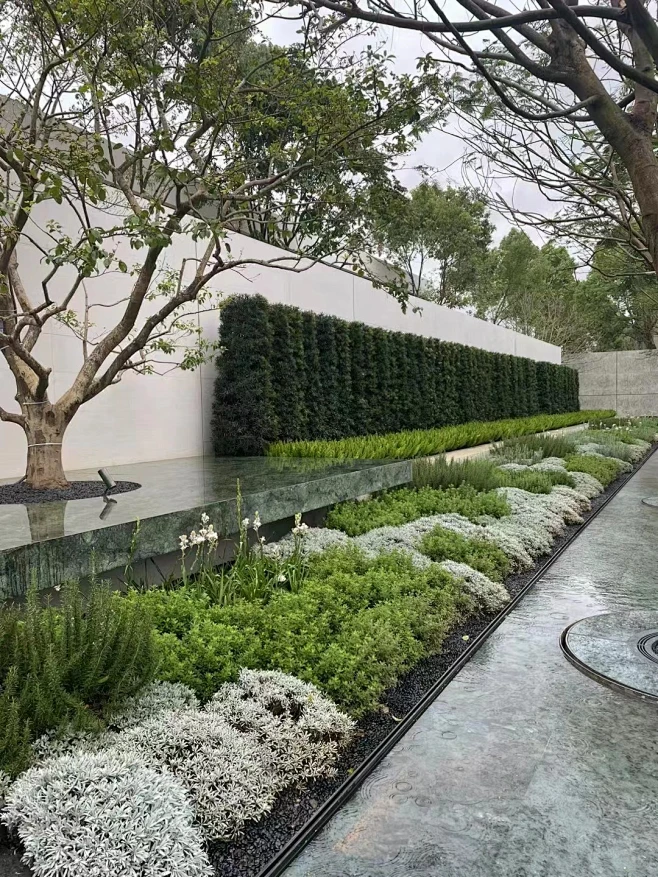 花瓣灵感详情页-花瓣网