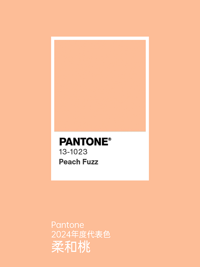 Pantone 2024 年度代表色：柔和桃