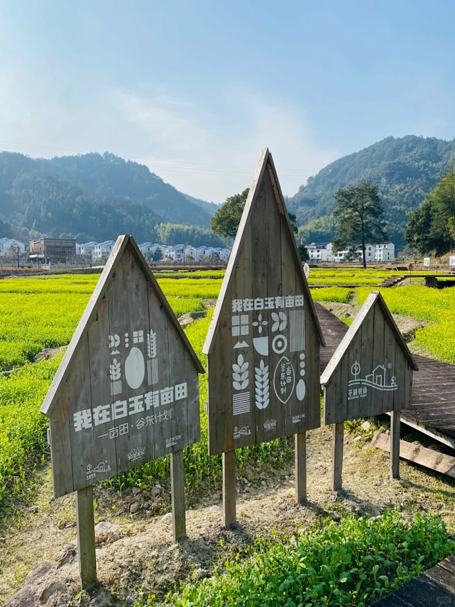 BUGENG｜宁德白玉乡野的不耕实验 - 小红书-花瓣网