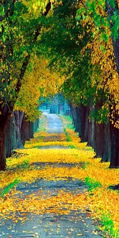 dgfgfg图片大全-dgfgfg高清好看的图片--花瓣环境地方的画板