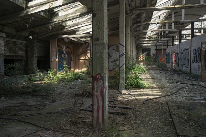 Overgrown Factory (280)-花瓣网