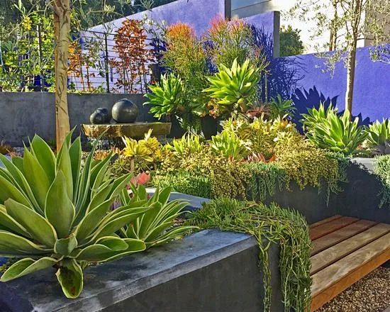 Calabasas Entry Courtyard : A Modern entry courtyard redesign in ...