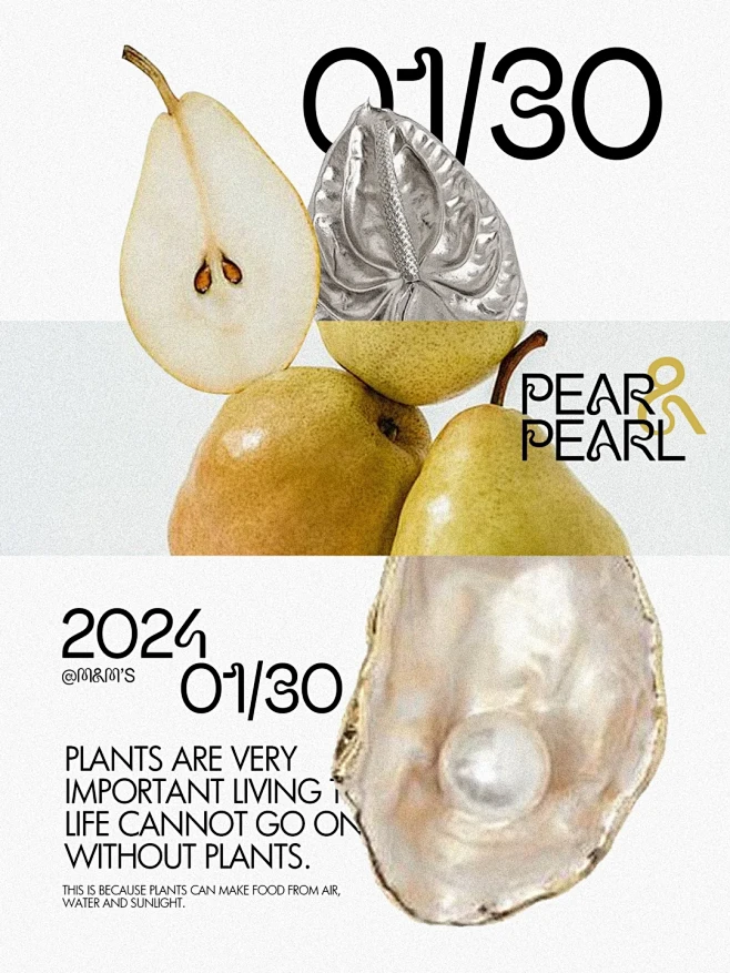 香梨与珍珠Pear&Pearl-花瓣网