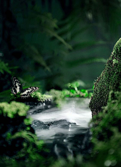 背景-花瓣网|陪你做生活的设计师