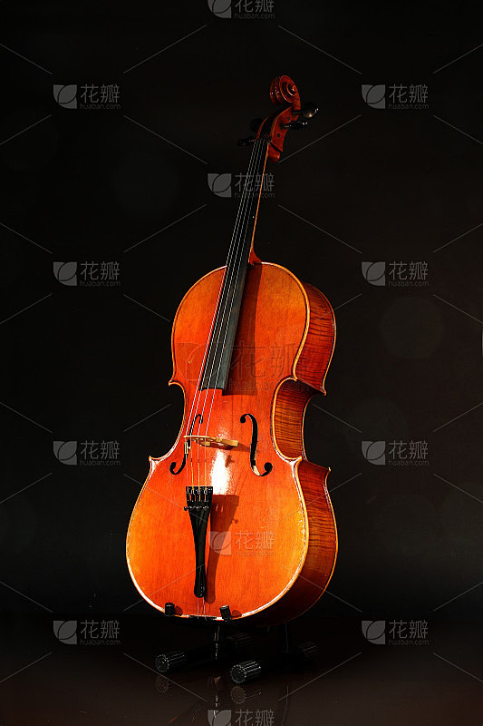 Violoncello