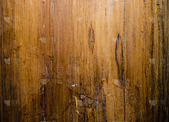 自然界中树的表面