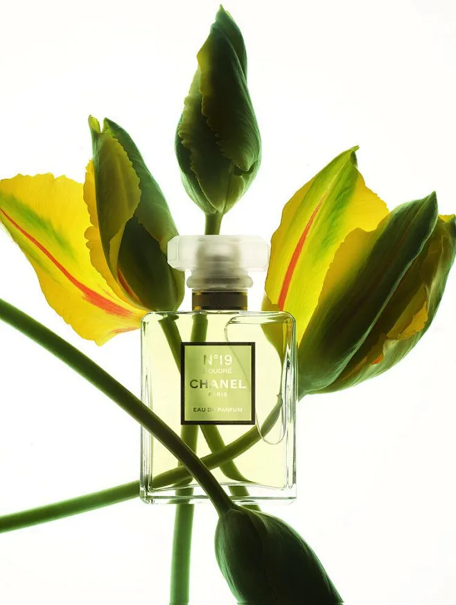 (213) Pinterest-花瓣网