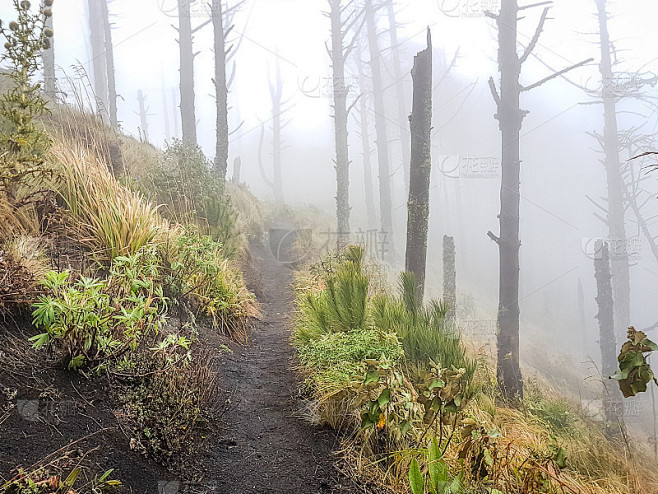 危地马拉阿卡特南戈火山徒步路线