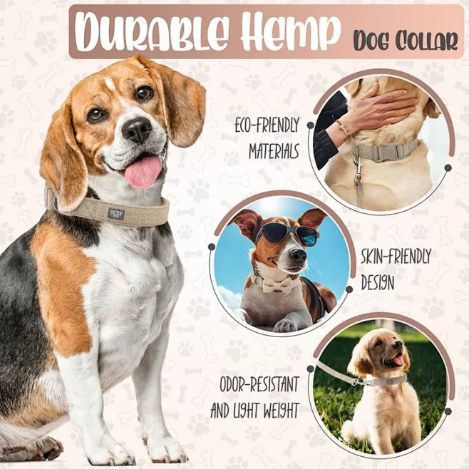 Introducing our stunning Amazon listing images for pet dog collars. Elevate your brand with our ...