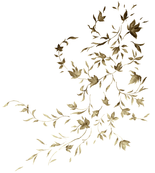 D6770_02 拷贝-花瓣网