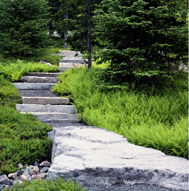 2017 ASLA 住宅设计类荣誉奖：东北港，沙漠山上的景观复原，美国 / Stephen Stimson Associates ...