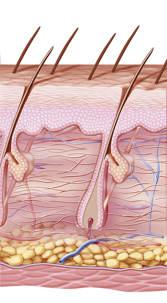 微信图片_20181113154254