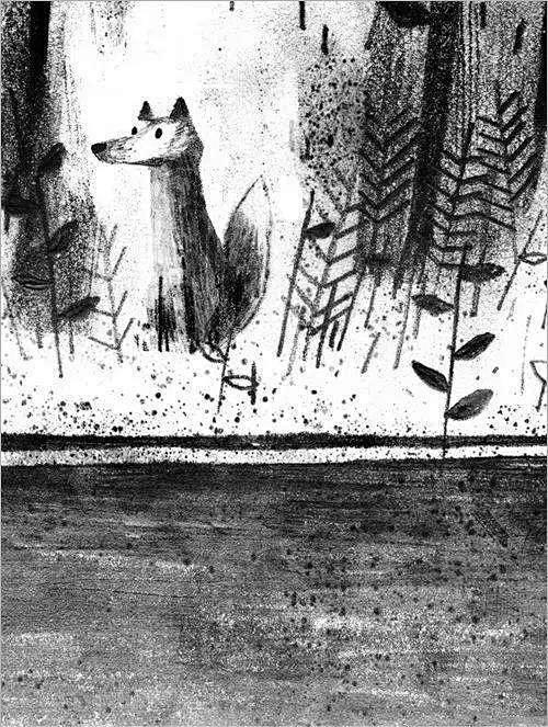 Jon Klassen (12)
