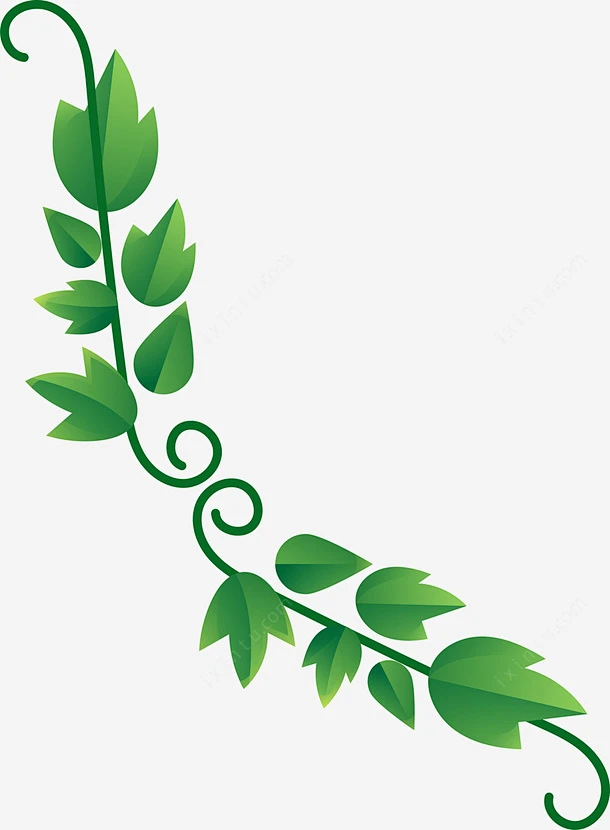 卡通手绘树藤树叶免抠png素材_新图网ixintu.com-花瓣网