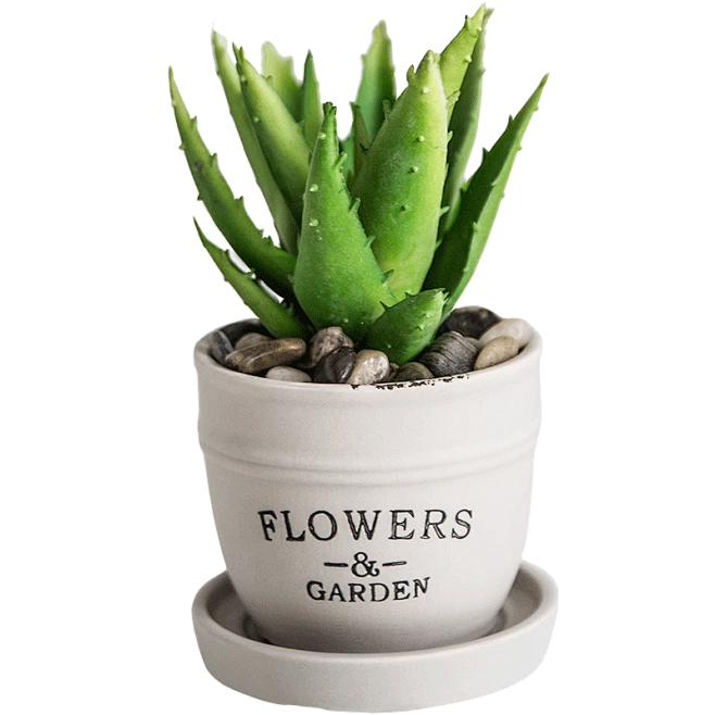 3ba2f5f9446b021390474fe4b82a2420aa76cf3f2258e-Ma7SzK-花瓣网