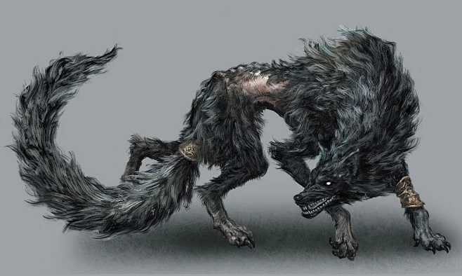 ds3-old-wolf-of-farron-花瓣网