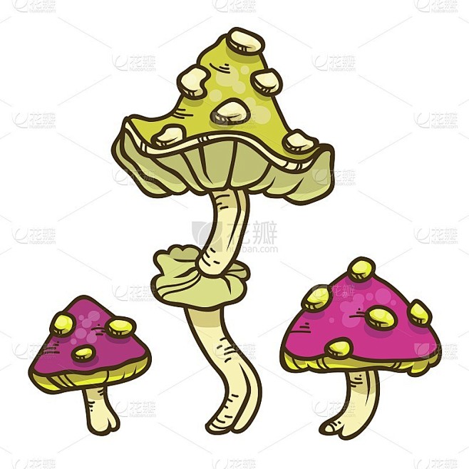 Vector color mushrooms set