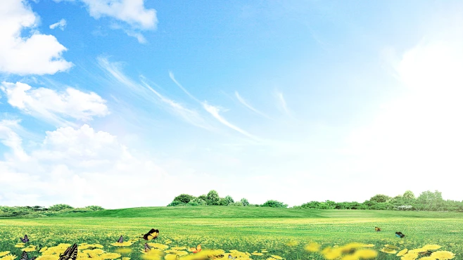 首页-camel旗舰店-天猫Tmall.com-花瓣网