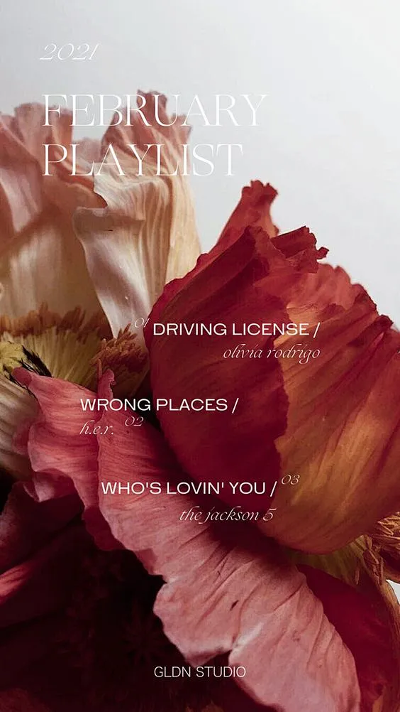 (24) Pinterest-花瓣网