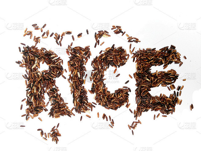 单词RICE by Many RICE