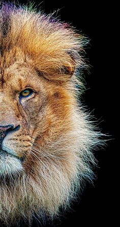 gif-花瓣网|陪你做生活的设计师 | (1) Pinterest