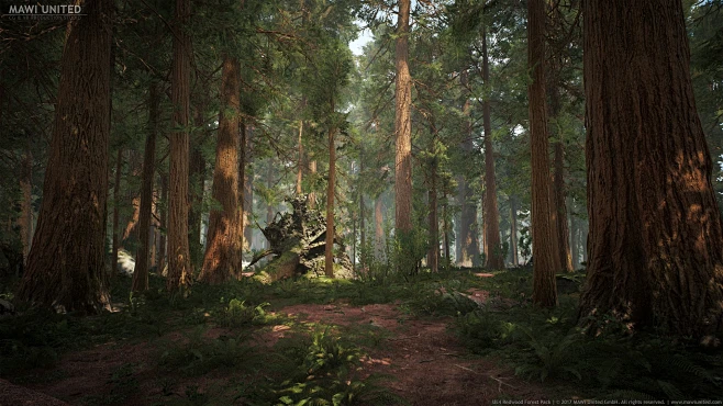 UE4 Redwood Forest-花瓣网