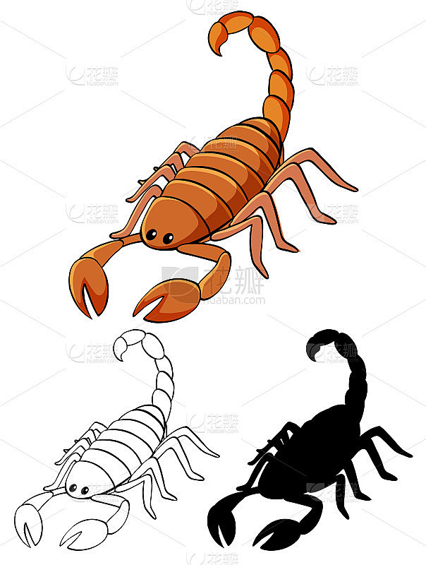 STP_ii_animals_outlines