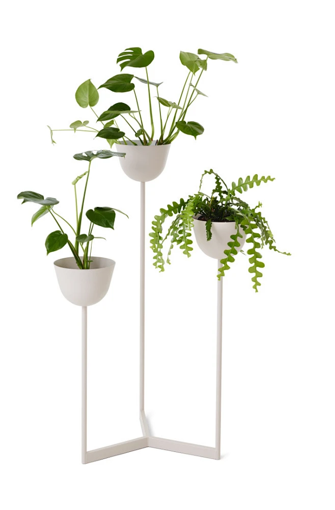 Pots planters - Nola : This stunning set of freestanding containers ...