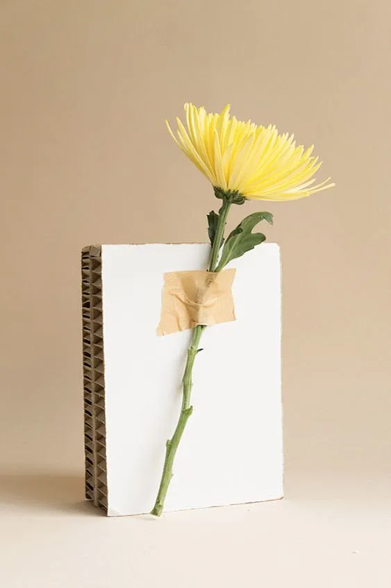 Cream Project By Rosa Rubio-花瓣网