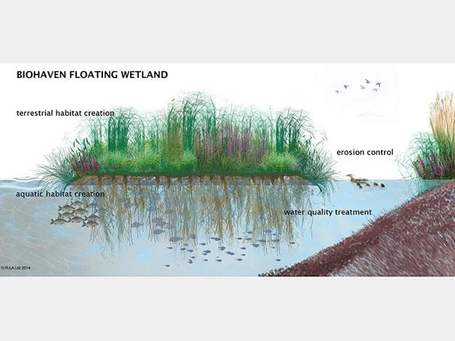 BioHaven-cross-section-2 生态岛