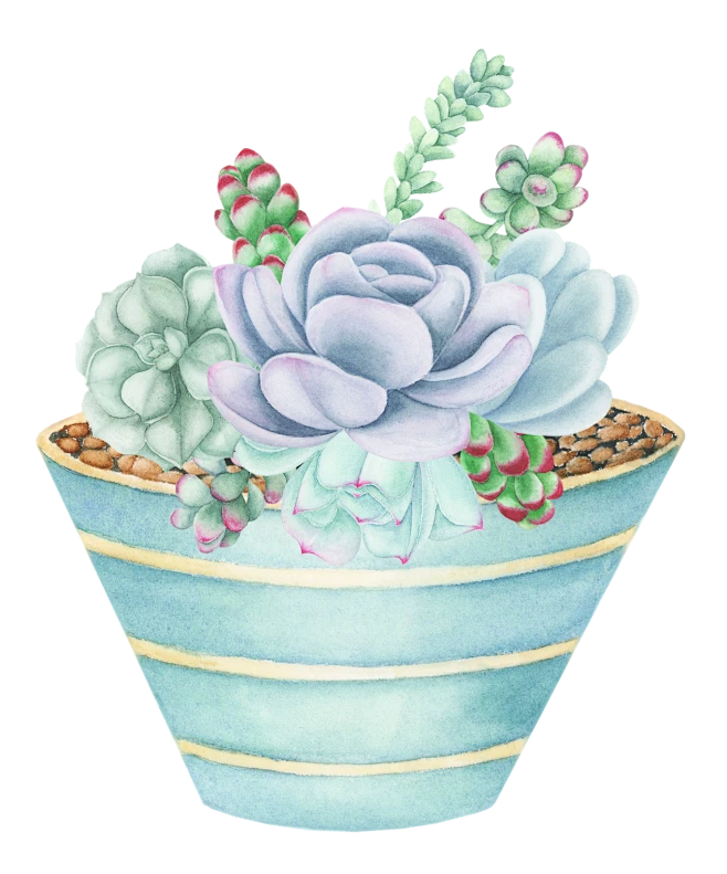 Watercolor-Succulents-Pots-Clipart-花瓣网