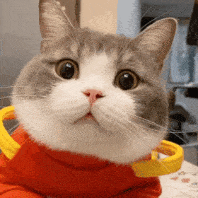 点击查看源网页-花瓣网