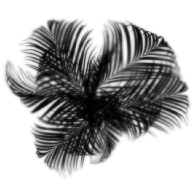 GSG_Gobos_Plants_Palm_04