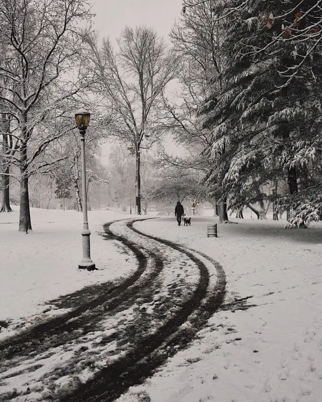 592)(y)essssss curves -花瓣网