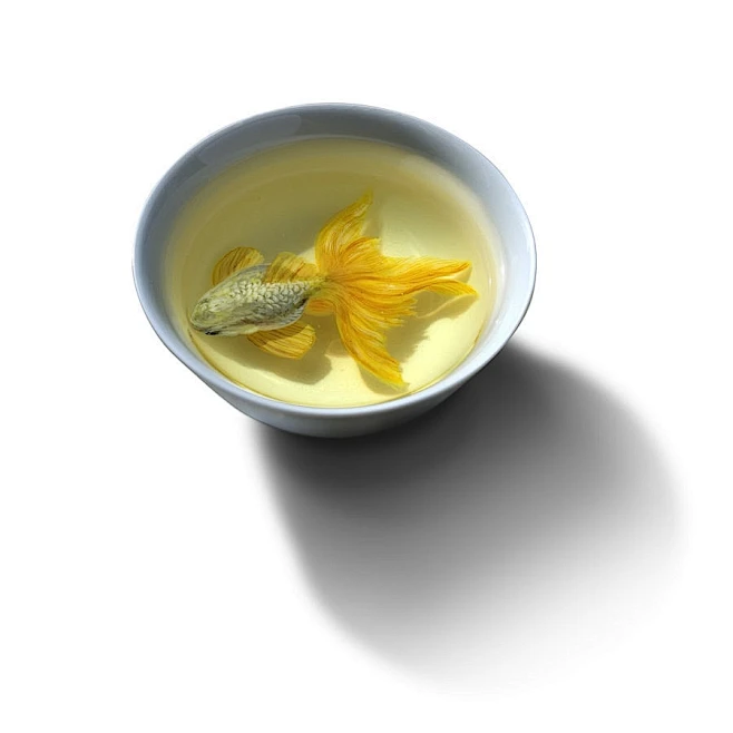 Super Realistic 3D Paintings by Keng Lye,Super Realistic 3D Paintings ...