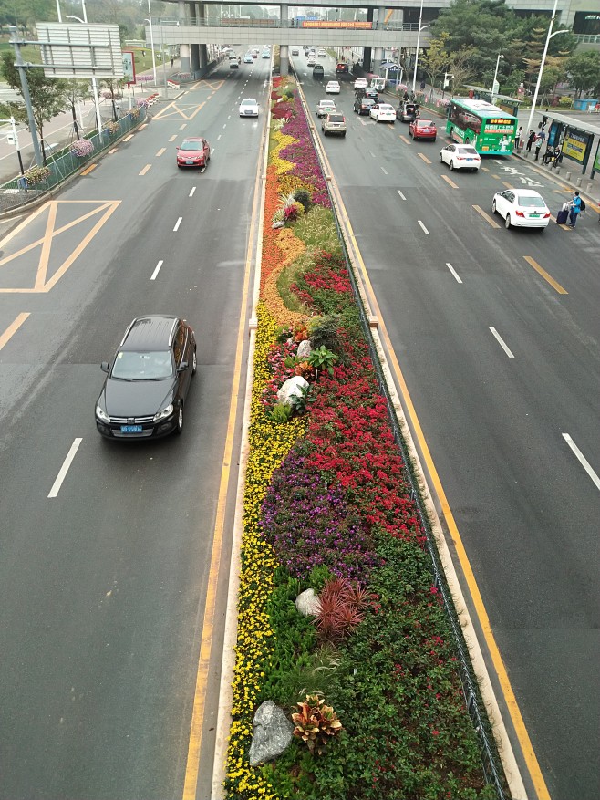 IMG_20190105_151945-花瓣网