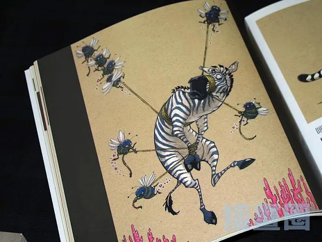 保真美版 The Daily Zoo Volume One&Two 绝版现货-淘宝网-花瓣网