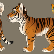 Shanli 特色角色设定