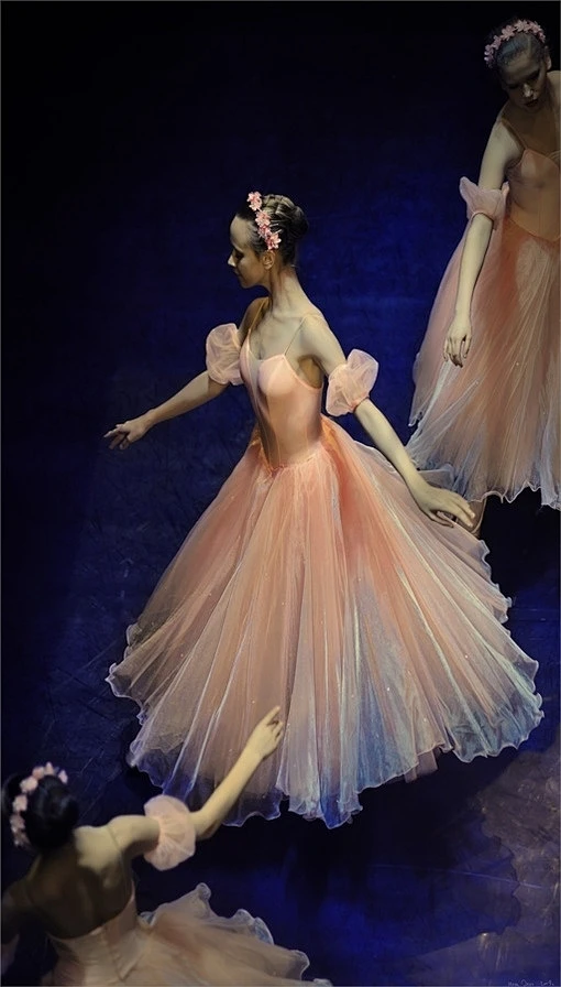 Winnie 脚尖上的Ballet、芭蕾、舞蹈、美-花瓣网