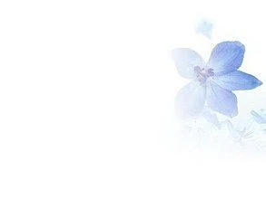 ppt背景图片_360图片搜索-花瓣网